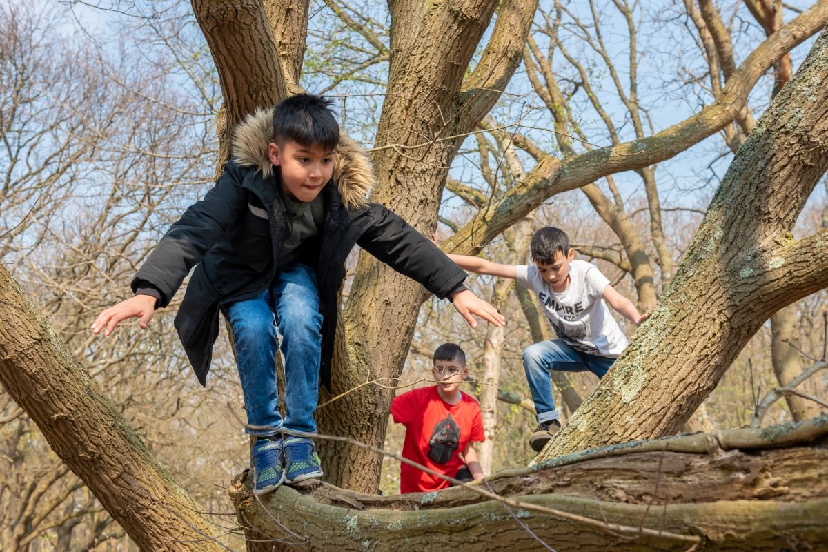 Dit is waarom kinderen baat hebben bij de natuur, en jij ook